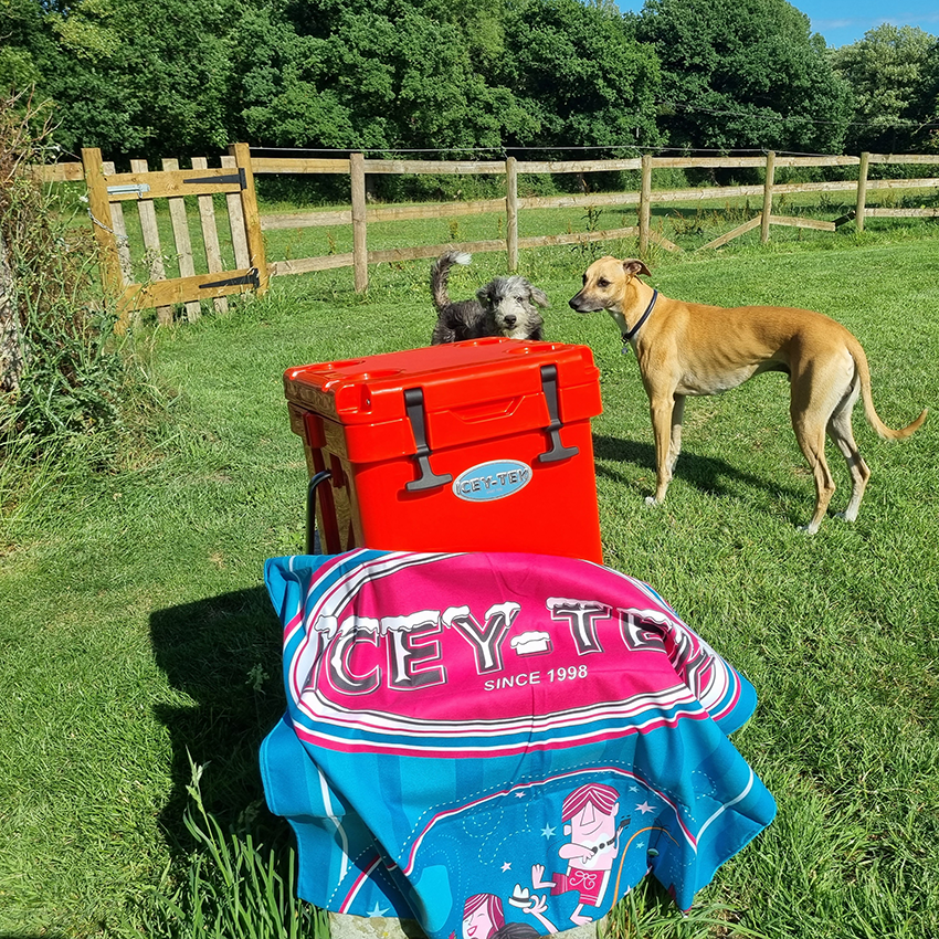 Giveaway competition winner! – Icey-Tek / Cool Boxes UK